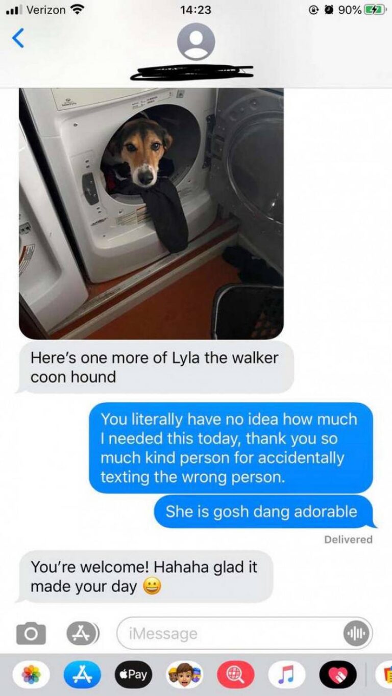 Dog Owner Sends Their Doggo’s Pic To A Wrong Number, It Goes Viral As ...